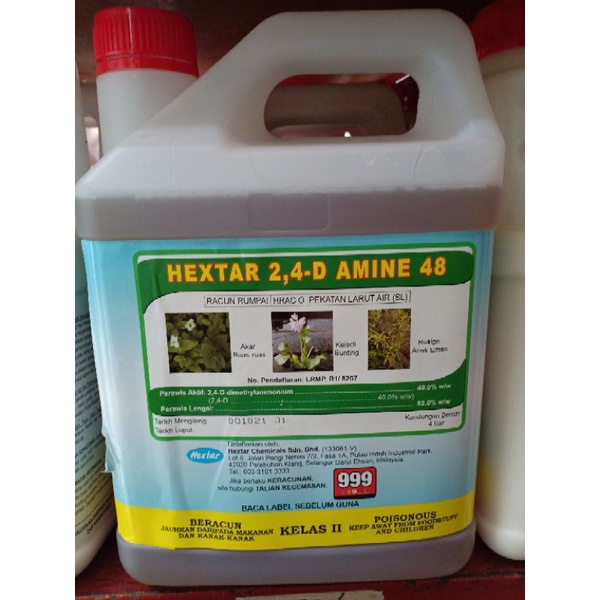 4L Hextar 2,4-D Amine 48 Racun Rumpai | Shopee Malaysia
