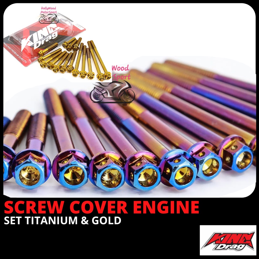 SKRU COVER ENGINE SET TITANIUM & GOLD YAMAHA Y15 / Y16 / R15 / MT15 ...