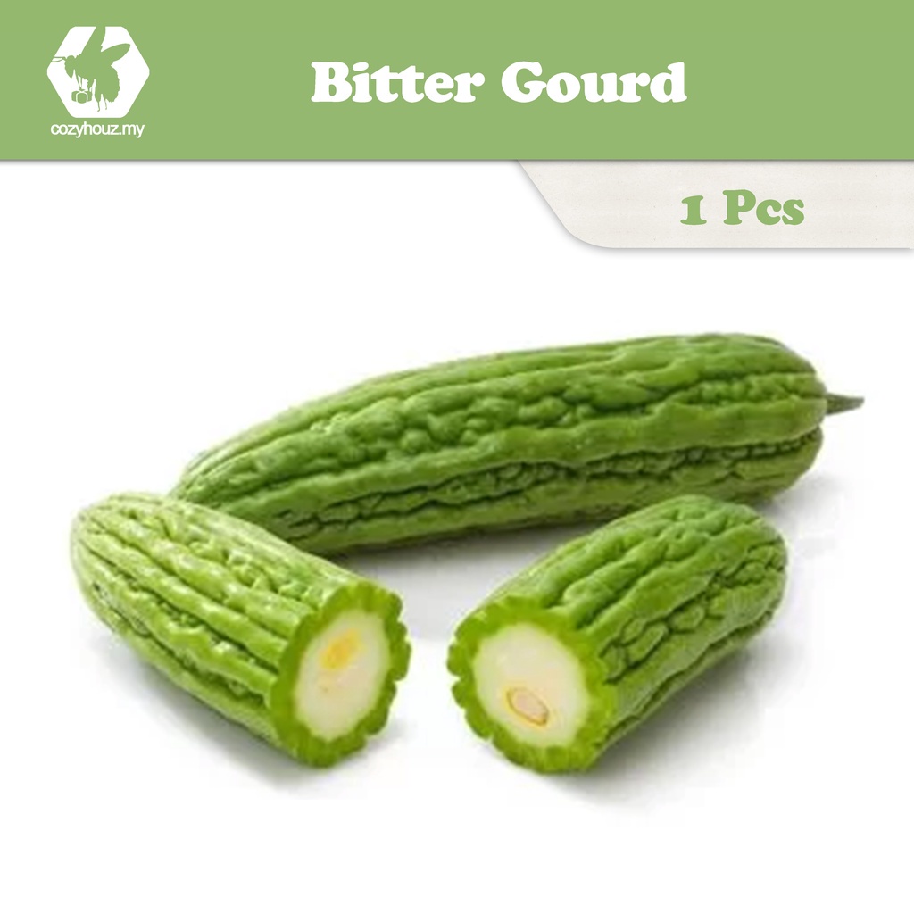 [BTW & PNG AREA ONLY] BITTER GOURD / PERIA 1PCS | Shopee Malaysia