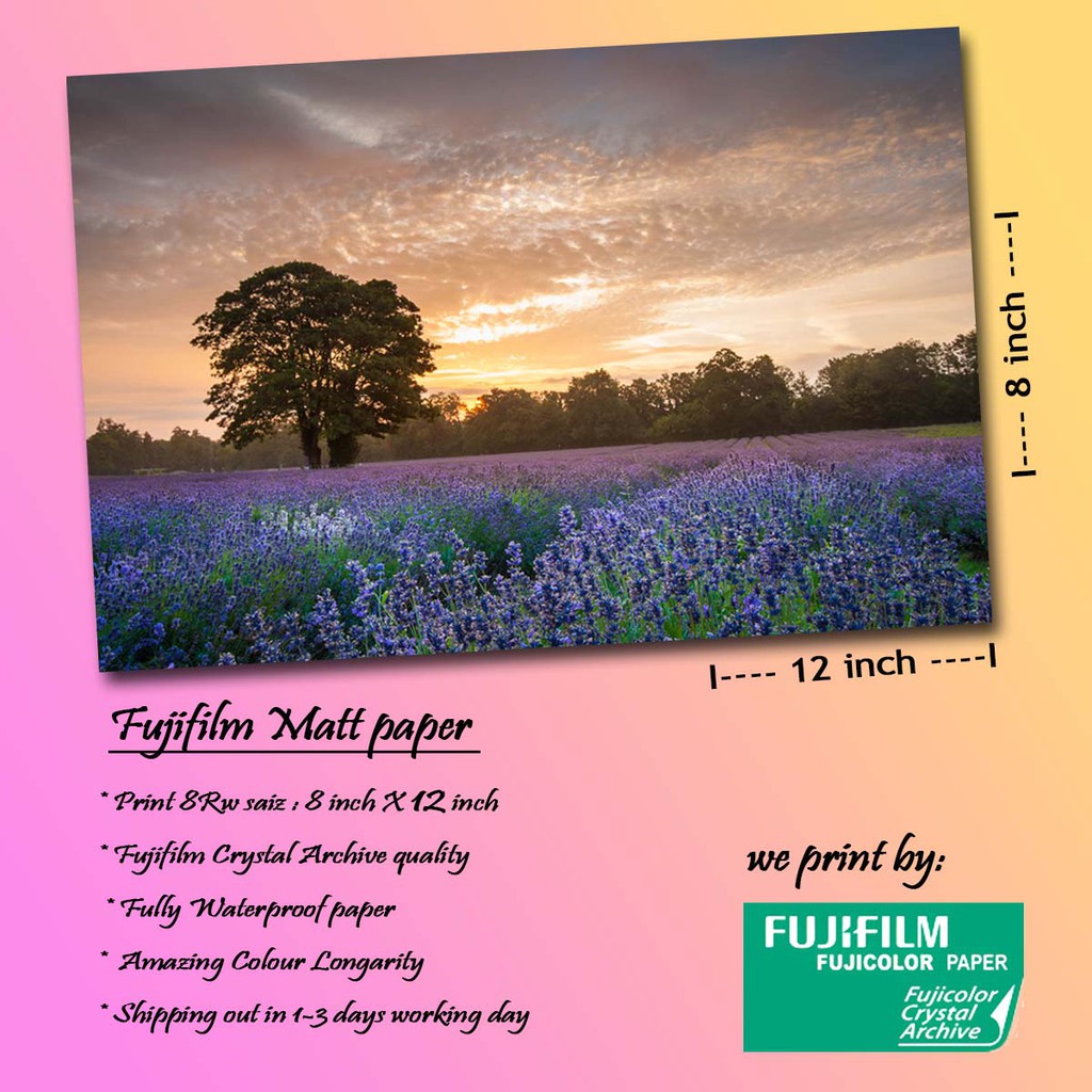 Print Photo 8Rw (8''x12'') saiz(Fujifilm Matt/ Glossy Paper) | Shopee ...