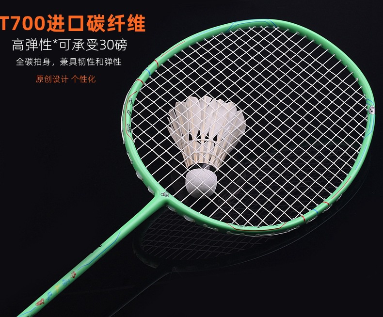 ALP XM 6U 72g T700 Protected Frame Full Carbon Fiber 22-30 Lbs Strung ...