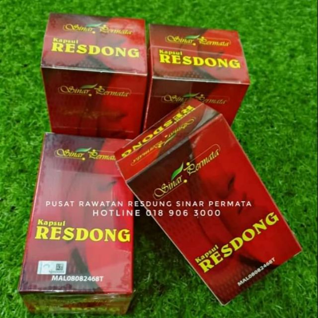 KAPSUL RESDUNG ALAHAN SEAFOOD/ALERGIK / SAKIT KEPALA/BERSIN NON STOP ...