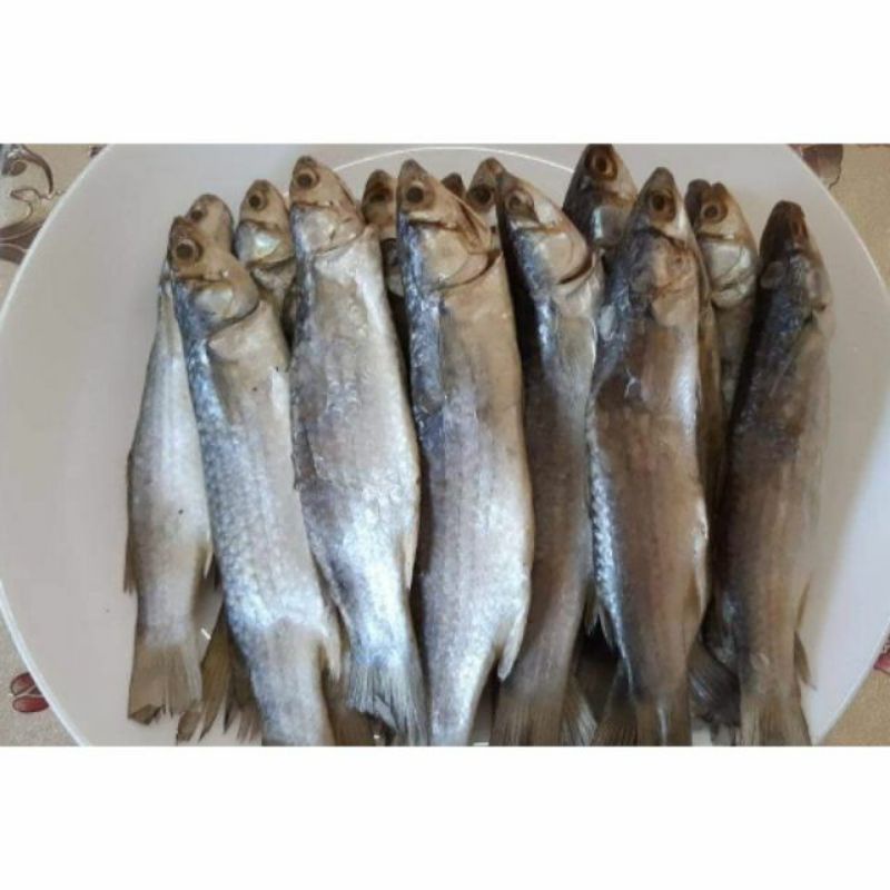 IKAN BELANAK / KEDERA MASIN | Shopee Malaysia
