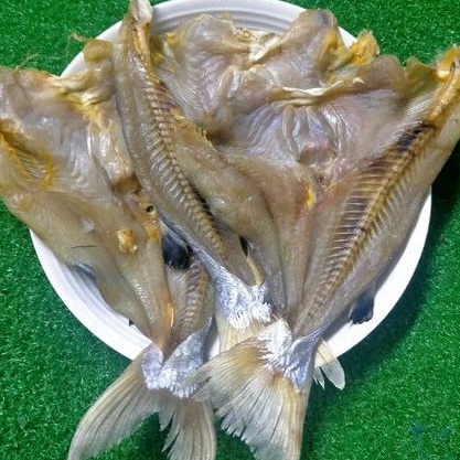 IKAN DURI KERING STOK BARU | Shopee Malaysia
