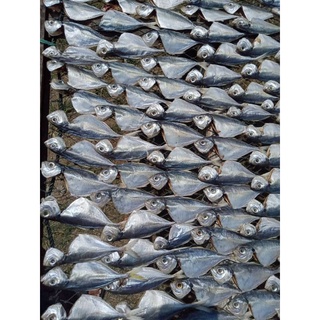 Ikan Kering 500g (Ikan Pelata) | Shopee Malaysia