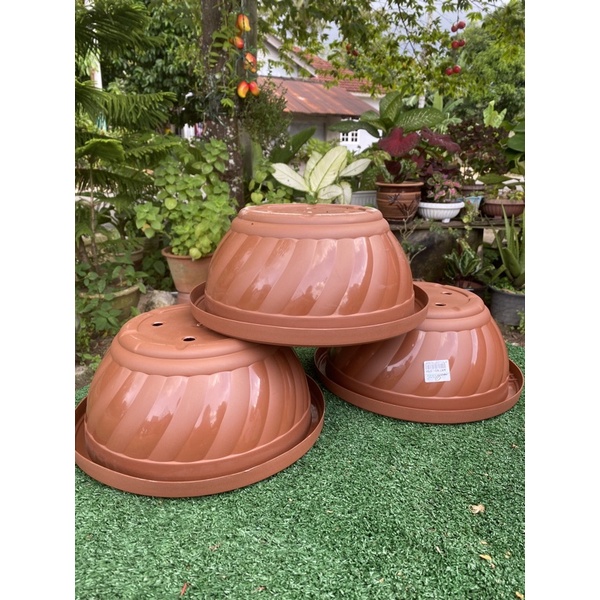 20 CORAK PASU BUNGA PLASTIK VIRAL READY STOCK | Shopee Malaysia