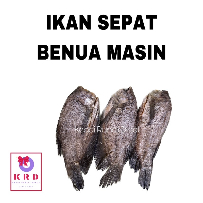 Ikan Sepat Benua Masin Tanjung Dawai | Ikan Kering (Vacuum Pack ...
