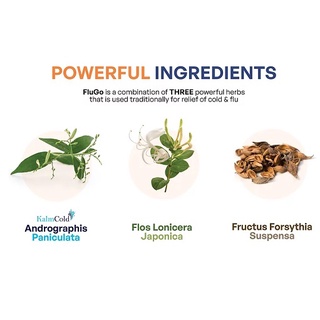 FluGo Capsules 30s (Traditionally used for relief of Cold & Flu ...