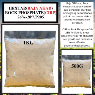 (Premium Imported) 1kg Repack Baja Penggalak Akar CIRP/ERP Egyptian ...