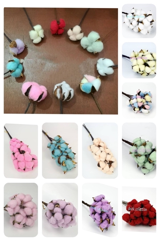 Shiok Collection S/B, Online Shop | Shopee Malaysia