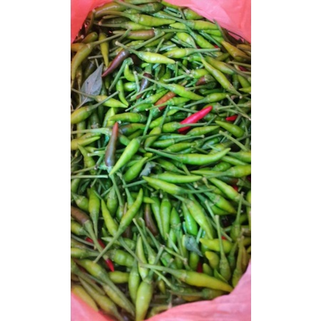CILI PADI BARA 1kg.. | Shopee Malaysia