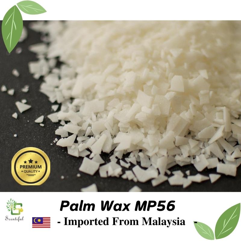 Palm Wax (MP56) - Candle Wax / Palm Wax - Made In Malaysia | Shopee ...