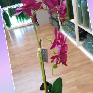Kaison Artificial Potted Plant Purple & White Orchid Pokok Bunga Hiasan ...