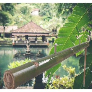 PELITA BULUH, PELITA RAYA, PELITA BULUH PANJUT, PELITA KLASIK, PELITA ...