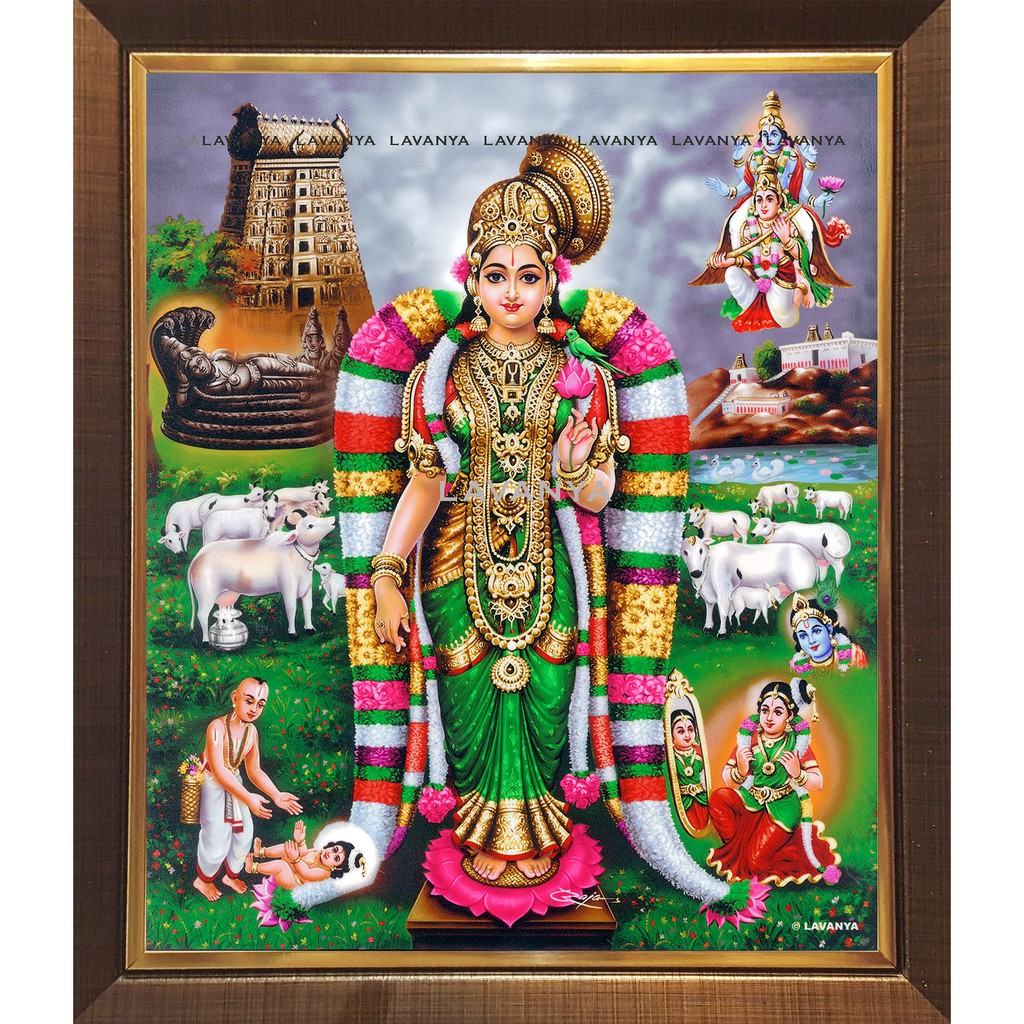 Andal Green Digital Photo with Lamination and Frame (L250A) | Shopee ...