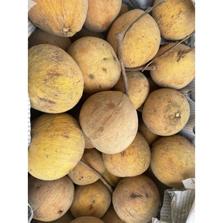 fruit - Prices and Promotions - Jul 2022 | Shopee Malaysia