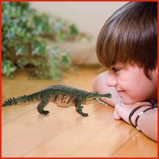 Alligator Toy Realistic Crocodile Figures Simulated Crocodiles Model Realistic Alligator ...
