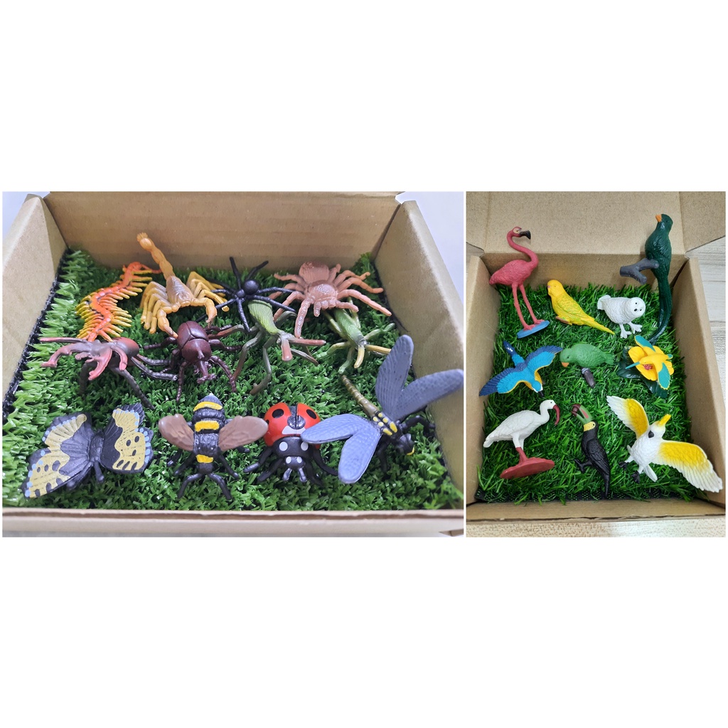 Insect Toy Realistic Insect Model Montessori Animal Match Miniature ...