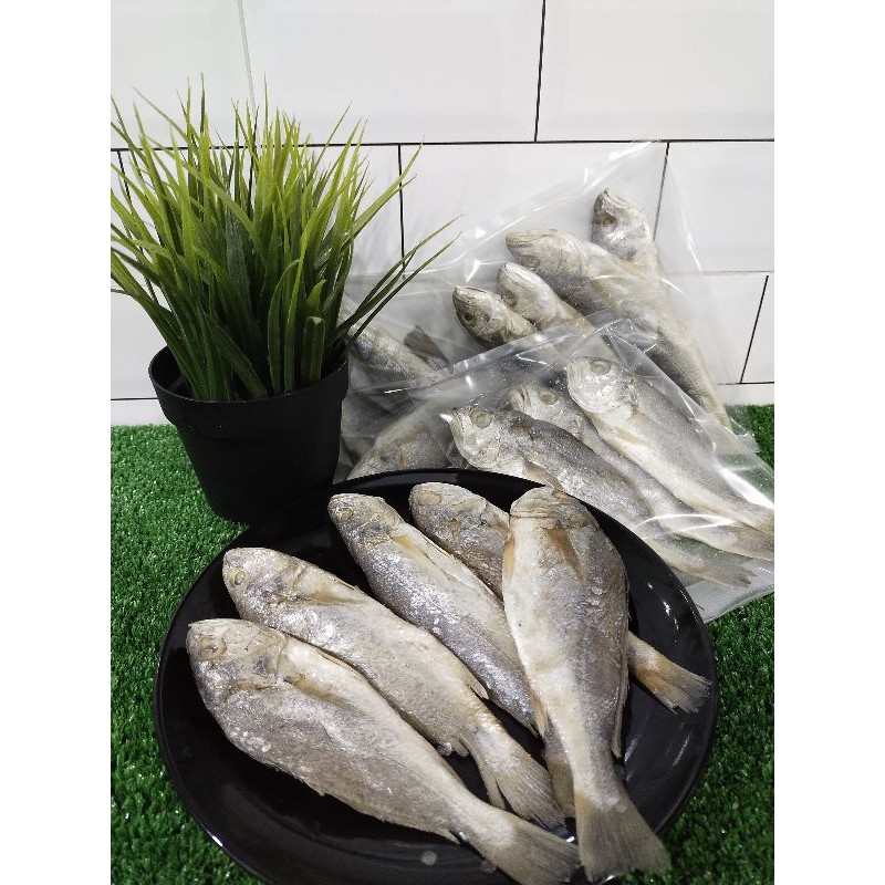 GELAMA MASAM DAN GELAMA BELAH KERING | Shopee Malaysia