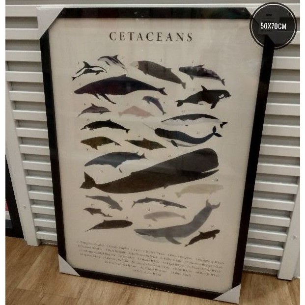 Frame Ocean Fishes Kaison Frame Gambar Ikan DiLautan Canvas | Shopee ...