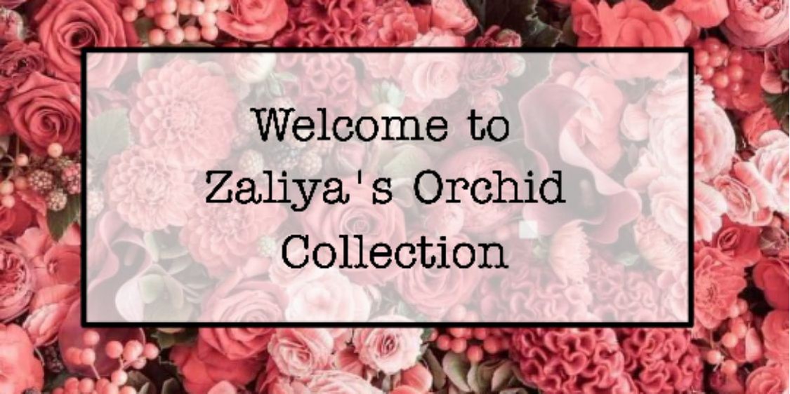 Zaliya's Orchid Collection, Online Shop | Shopee Malaysia