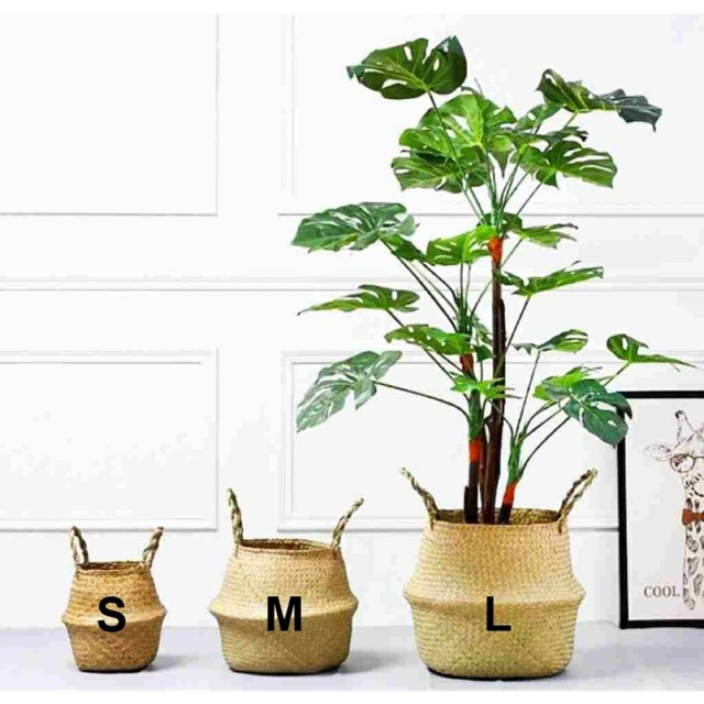 Rattan Vase / Bakul Rotan / Bakul Rotan / Pasu Pokok / Pasu Rotan ...