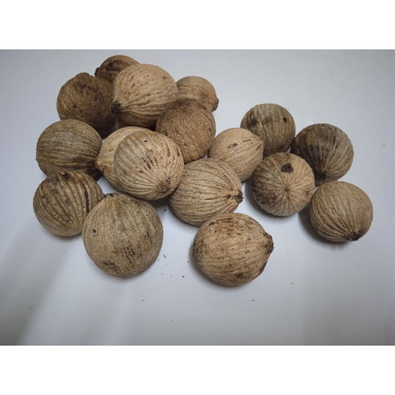 buah kulim fresh baru 1/2 kg gred A | Shopee Malaysia