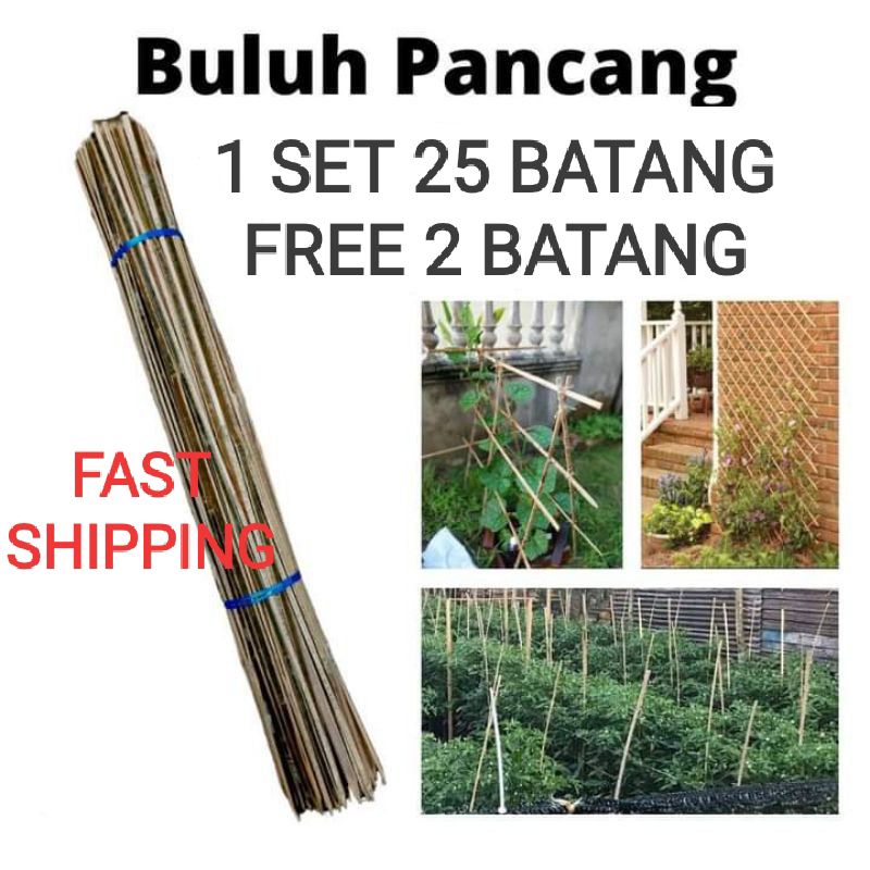 BULUH PANCANG POKOK 150CM / BAMBOO PLANTS STAKES | Shopee Malaysia