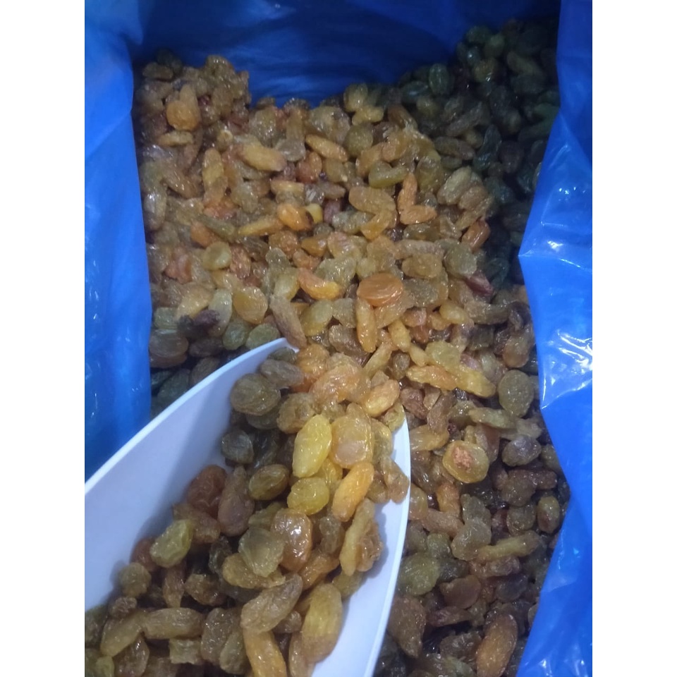 GOLDEN JUMBO RAISIN USA, 5KG (WHOLESALE) / KISMIS KUNING JUMBO USA, 5KG ...