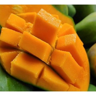 harumanis - Prices and Promotions - Jul 2022 | Shopee Malaysia