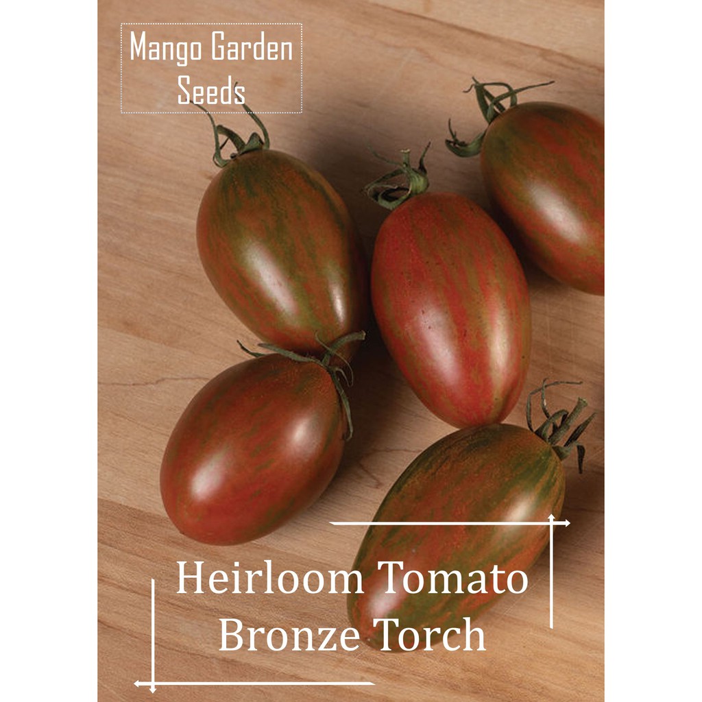 *Rare* Heirloom Bronze Torch Tomato Seeds - 30 Seed *Pot Friendly ...