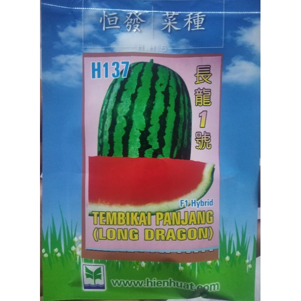 BIJI BENIH HIBRID F1 TEMBIKAI LONG DRAGON | Shopee Malaysia