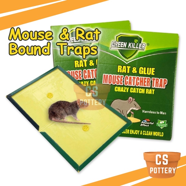 Green Killer Mouse & Rat Sticky Glue Trap Board Pest Control Rats ...