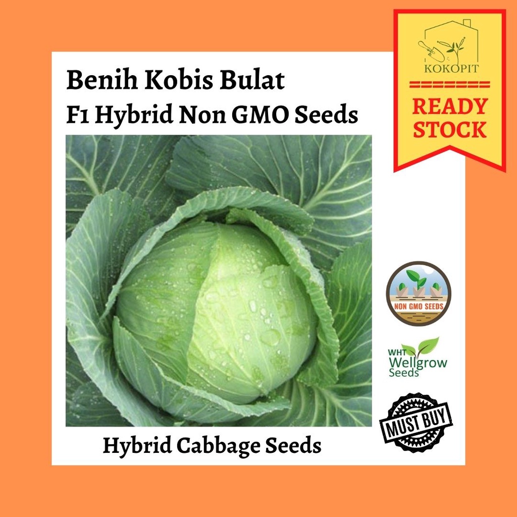 💥Buy Any 11 In RM9.88💥TOP SALES💥F1 Hybrid Cabbage Seeds/ Benih Kobis ...
