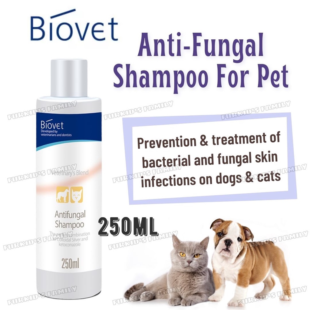 Biovet Antifungal Shampoo For Dogs & Cats / Anti Bacterial & Fungus Pet Shampoo 250ml | Shopee ...
