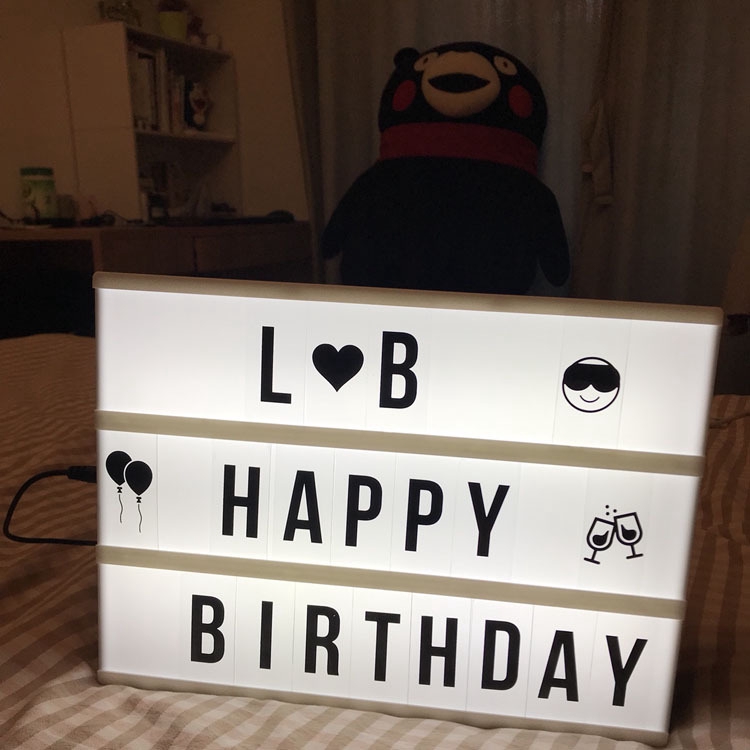 Diy Led Photo Light Box | Shelly Lighting