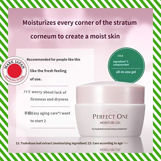PERFECT ONE All-in-One Gel Moisture Gel 75g [Direct from Japan] [Made ...