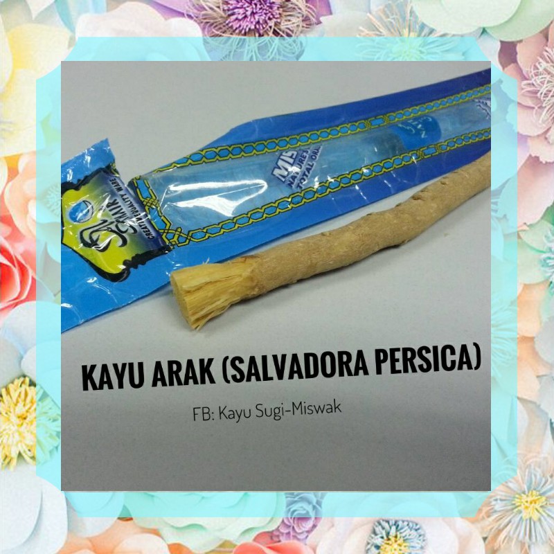 Kayu Sugi Jenis Kayu Arak | Shopee Malaysia