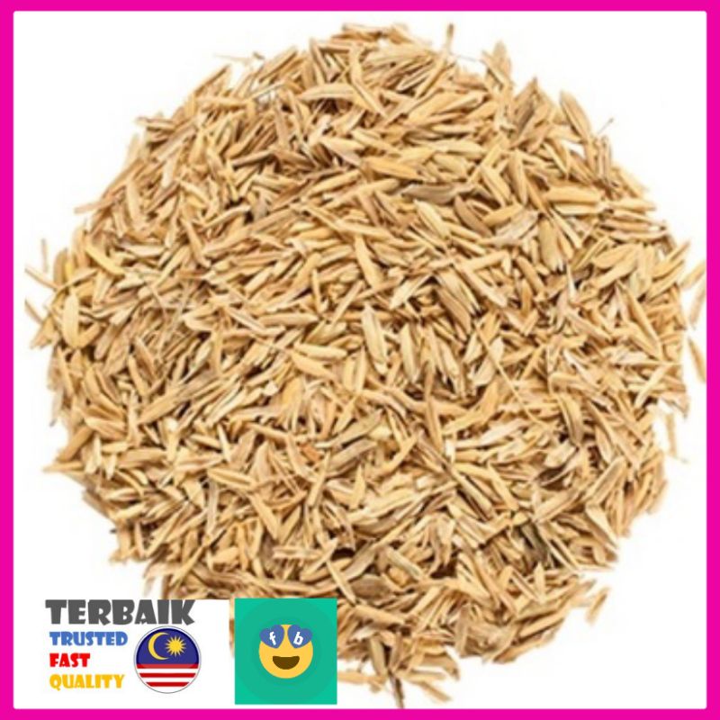 Sekam Padi Rice Husk 500g | Shopee Malaysia