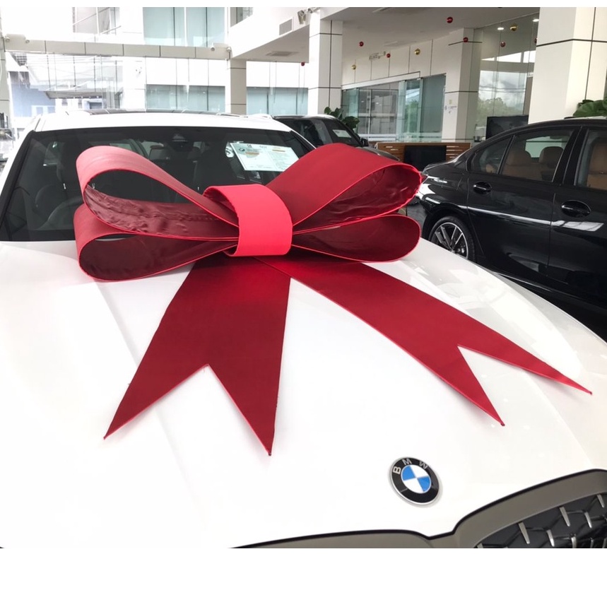 Colorful Big Car Bow / Various type Big Car Bow / Big Ribbon / Car Bow ...