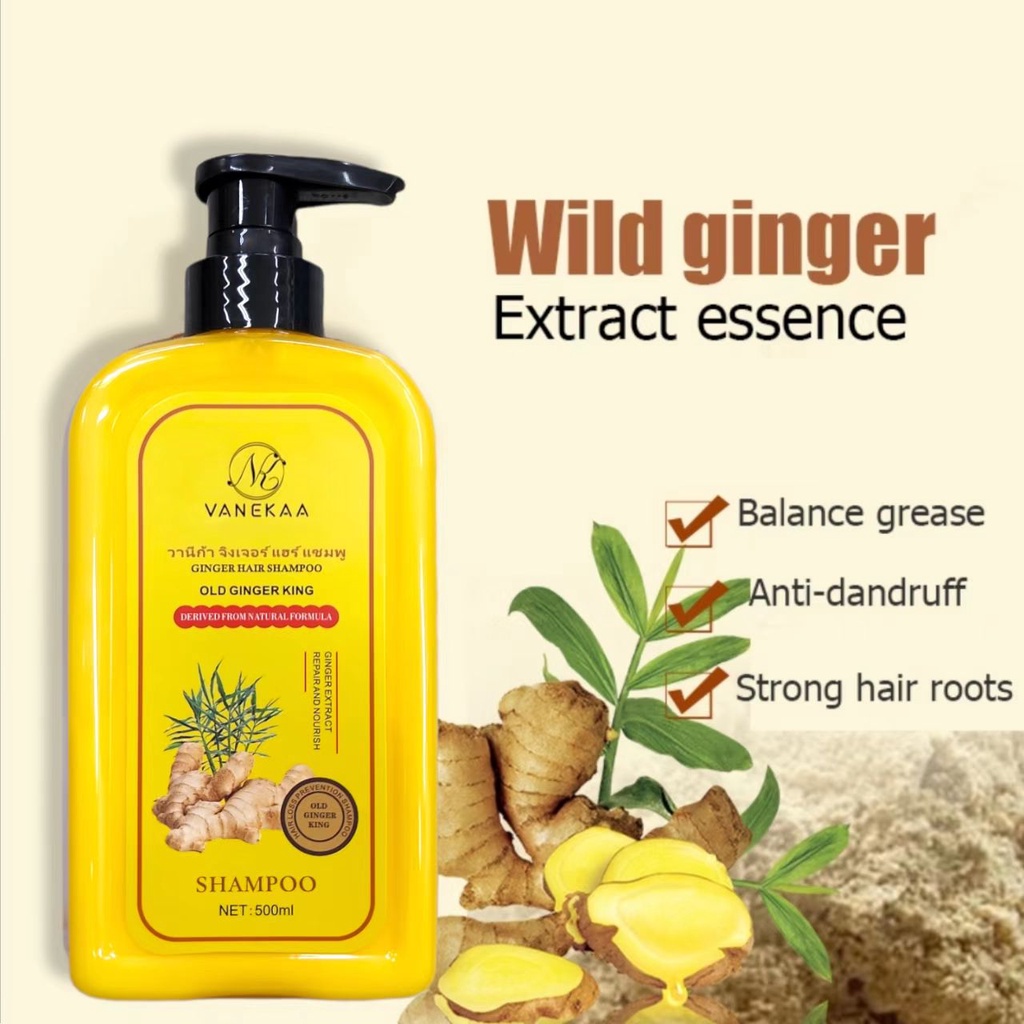 VANEKAA Ginger Hair Shampoo Anti Hair Lost Oil Control Enhance Hair ...
