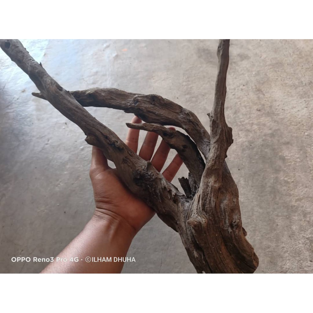 KAYU / KAYU AQUARIUM / KAYU AKUARIUM / KAYU HIASAN AQUARIUM / AQUARIUM ...