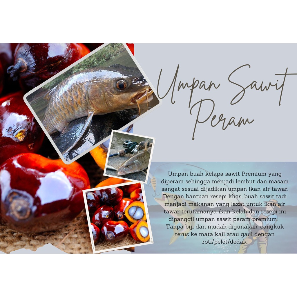 UMPAN KELAPA SAWIT PERAM PREMIUM (TANPA BIJI) | Shopee Malaysia