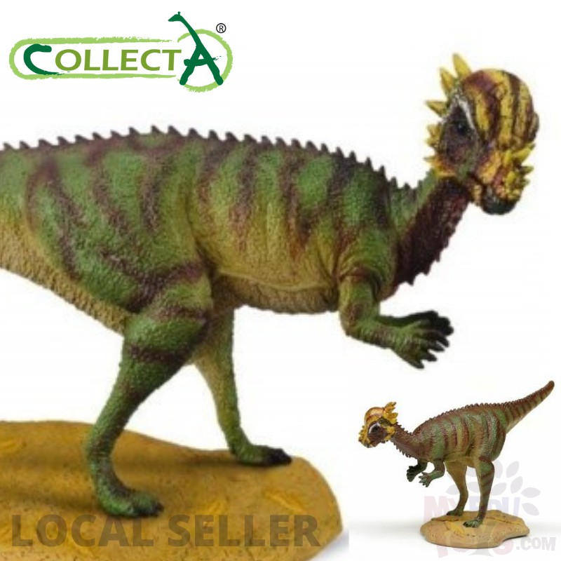 Pachycephalosaurus - Collecta 88629 Prehistoric Life Dinosaur Animal ...