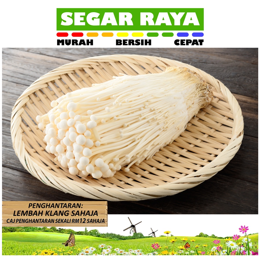 CENDAWAN Enoki / Mushroom Enoki (1pkt - 100g) SEGAR RAYA | Shopee Malaysia
