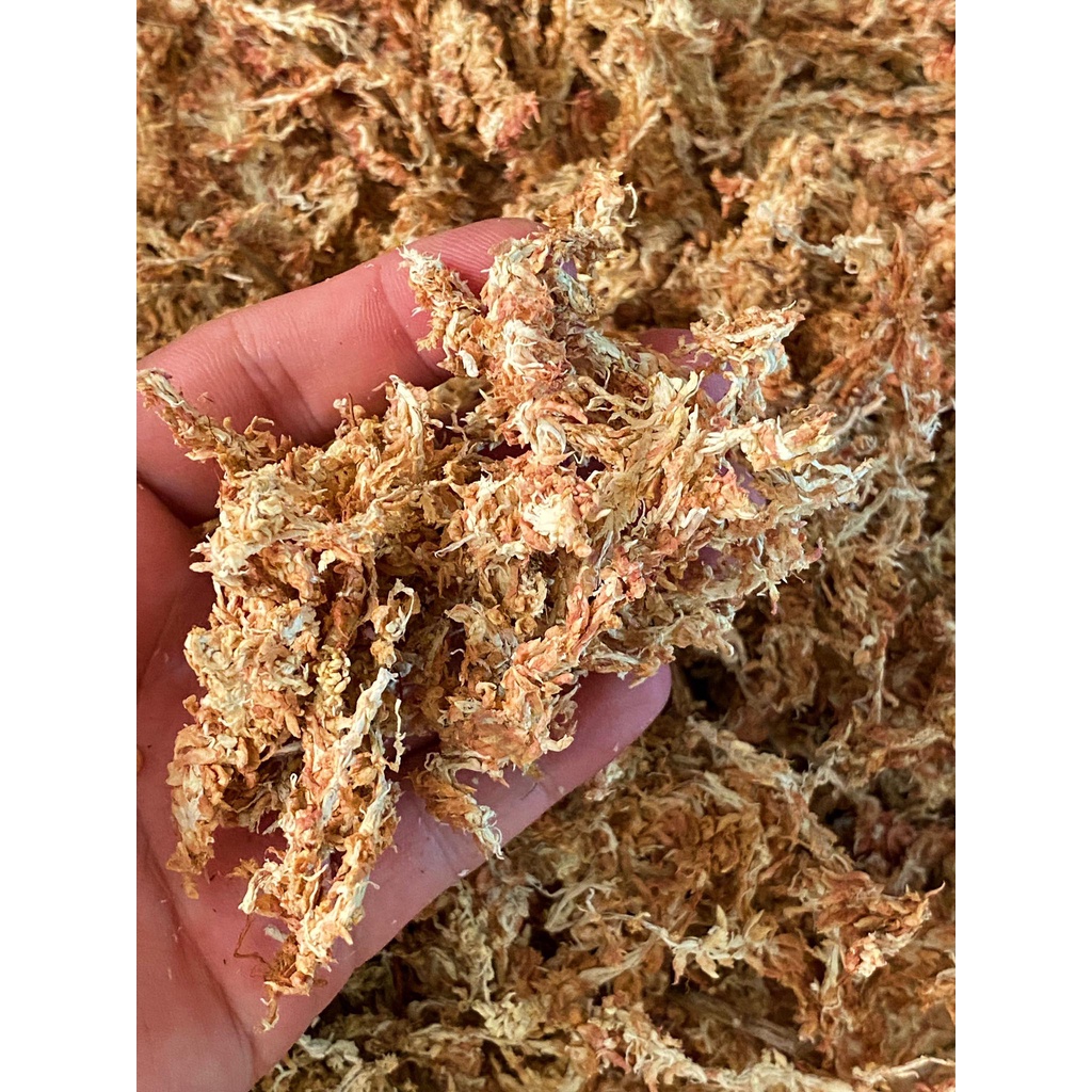 Chilean sphagnum moss 5A star for plant & orchid premium moss 100g ...