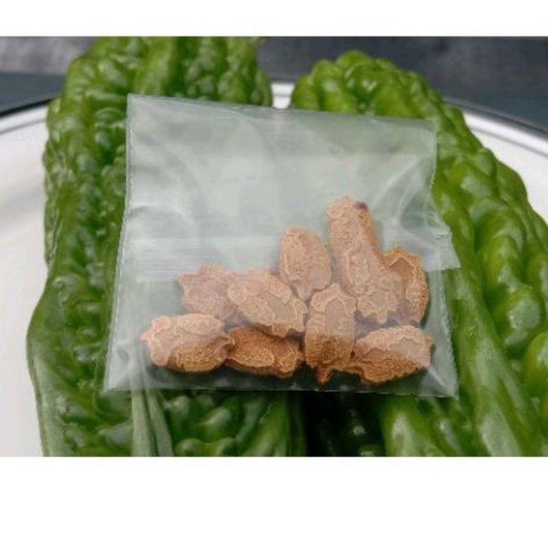 Biji benih peria katak jenis besar 1 pack | Shopee Malaysia