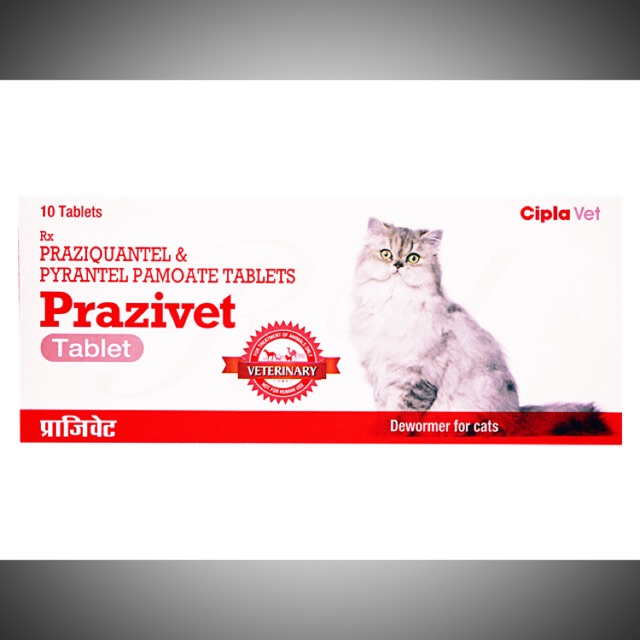 Prazivet cat dewormer tablets | Shopee Malaysia