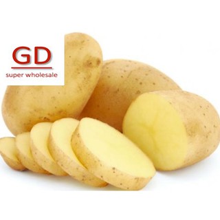 UBI KENTANG GUNI-BORONG- 9.4KG | Shopee Malaysia