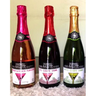 Premier salute sparkling drink - 750ml | Shopee Malaysia
